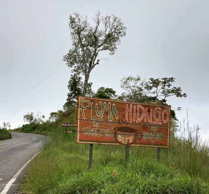 El Café Pluma el mejor del país y su Denominación de Origen – NSS Oaxaca